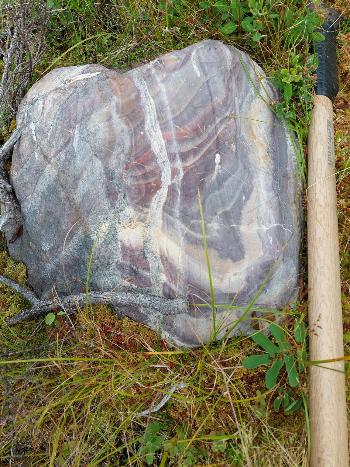 Fortuna Project – Banded Silica Alteration - Puddle Pond Resources Inc.