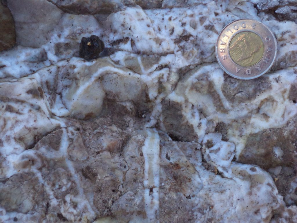 Heritage Project – Epithermal Textures - Puddle Pond Resources Inc.