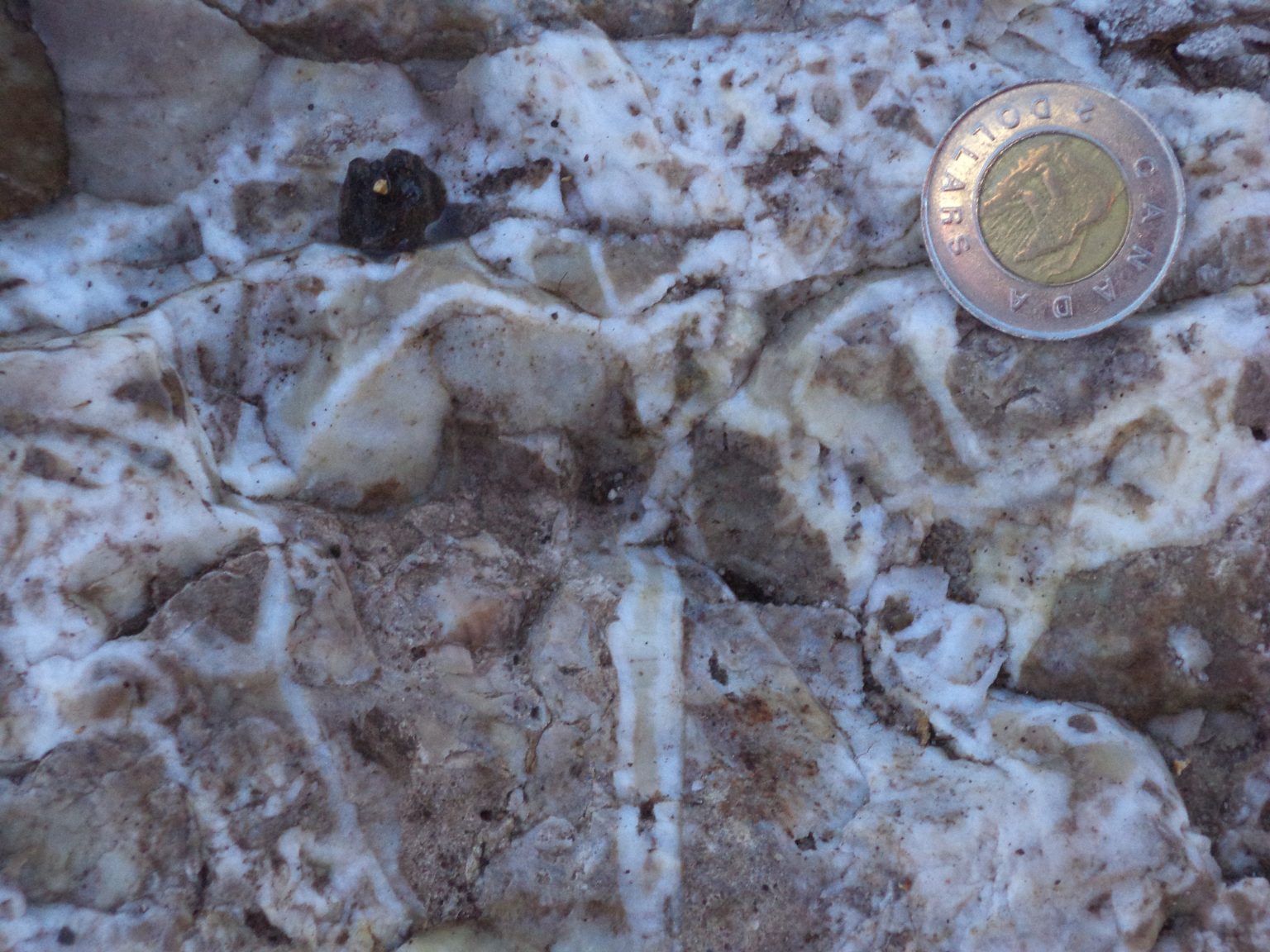 Heritage Project – Epithermal Textures - Puddle Pond Resources Inc.