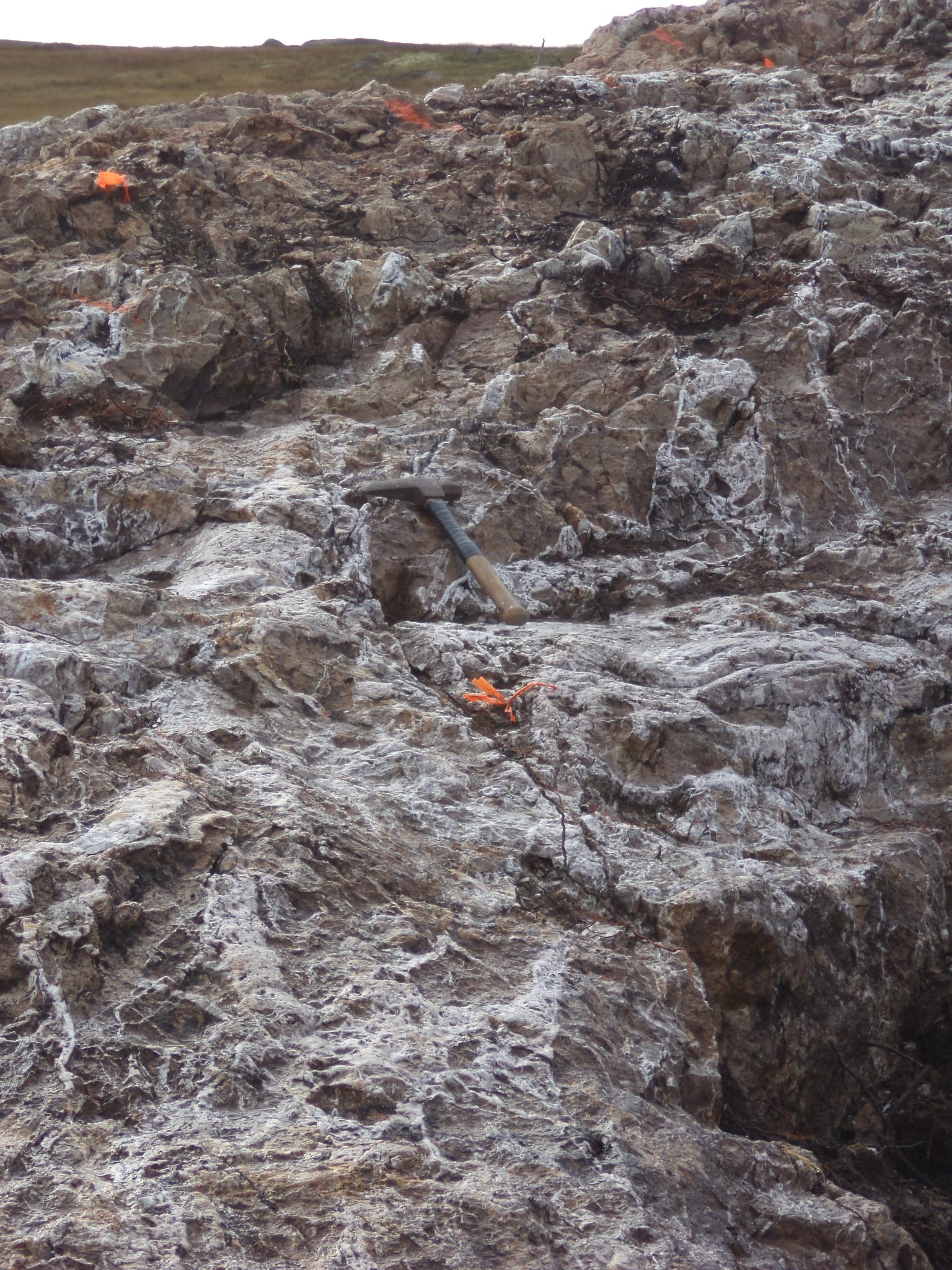 Heritage Project – Quartz veined hydrothermal breccia - Puddle Pond ...