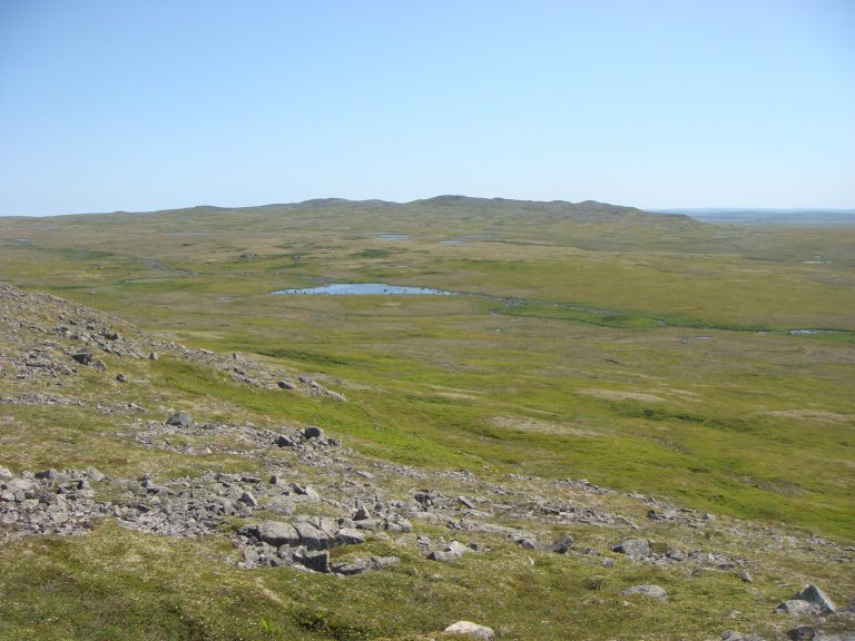 Fortuna Project – Landscape - Puddle Pond Resources Inc.