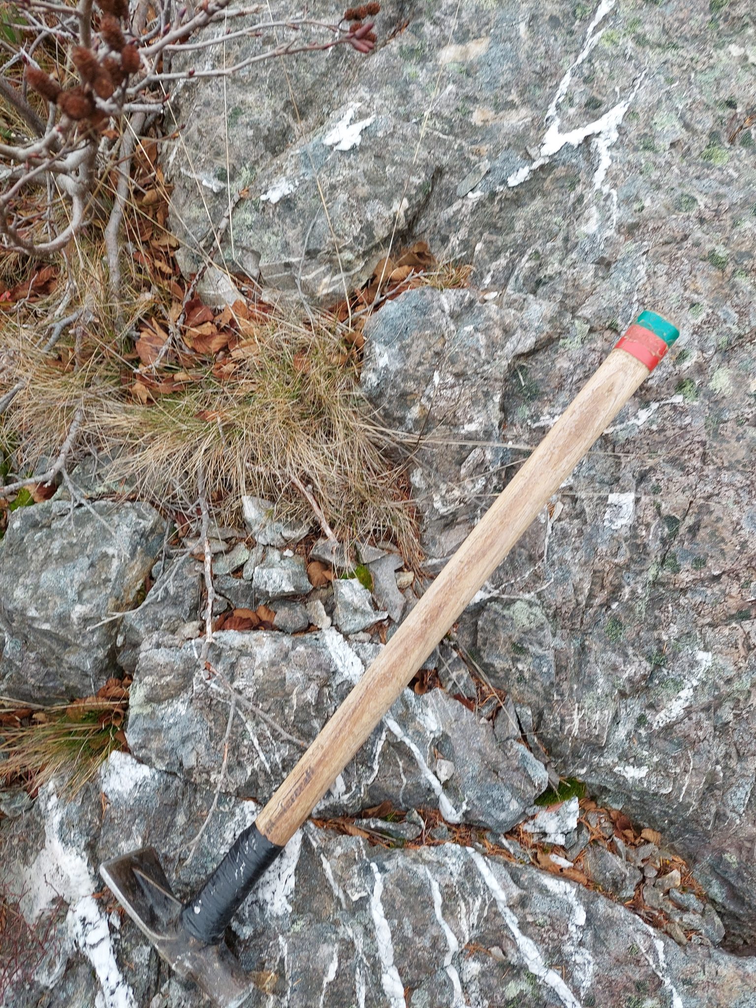Frenchman’s Cove Project – Stockwork Quartz Veins - Puddle Pond ...